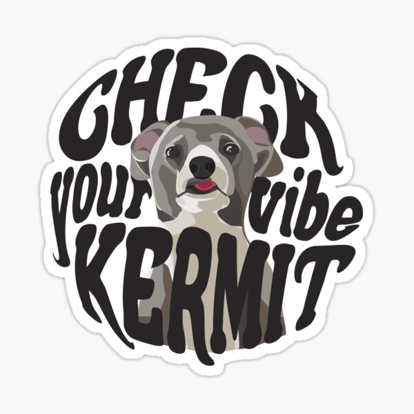 "check your vibe kermit" Sticker for Sale by jadmackalope | Redbubble