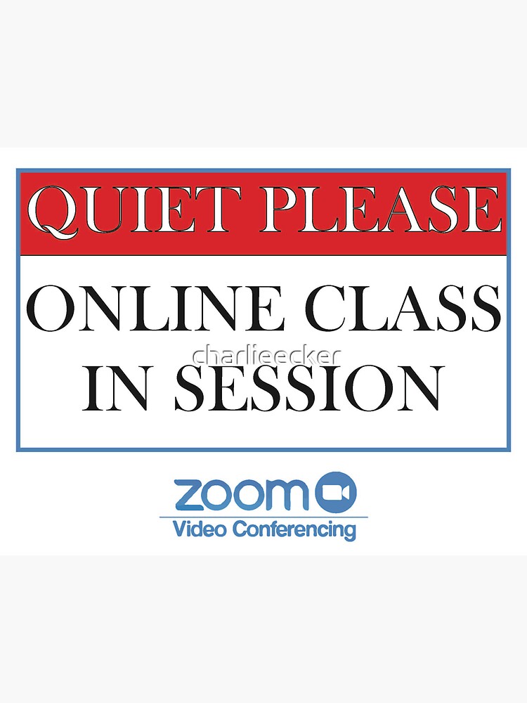 "Zoom Class Poster" Sticker for Sale by charlieecker | Redbubble