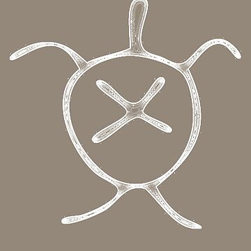 "Taino Turtle Symbol Puerto Rico "'" Photographic Print for Sale by ...