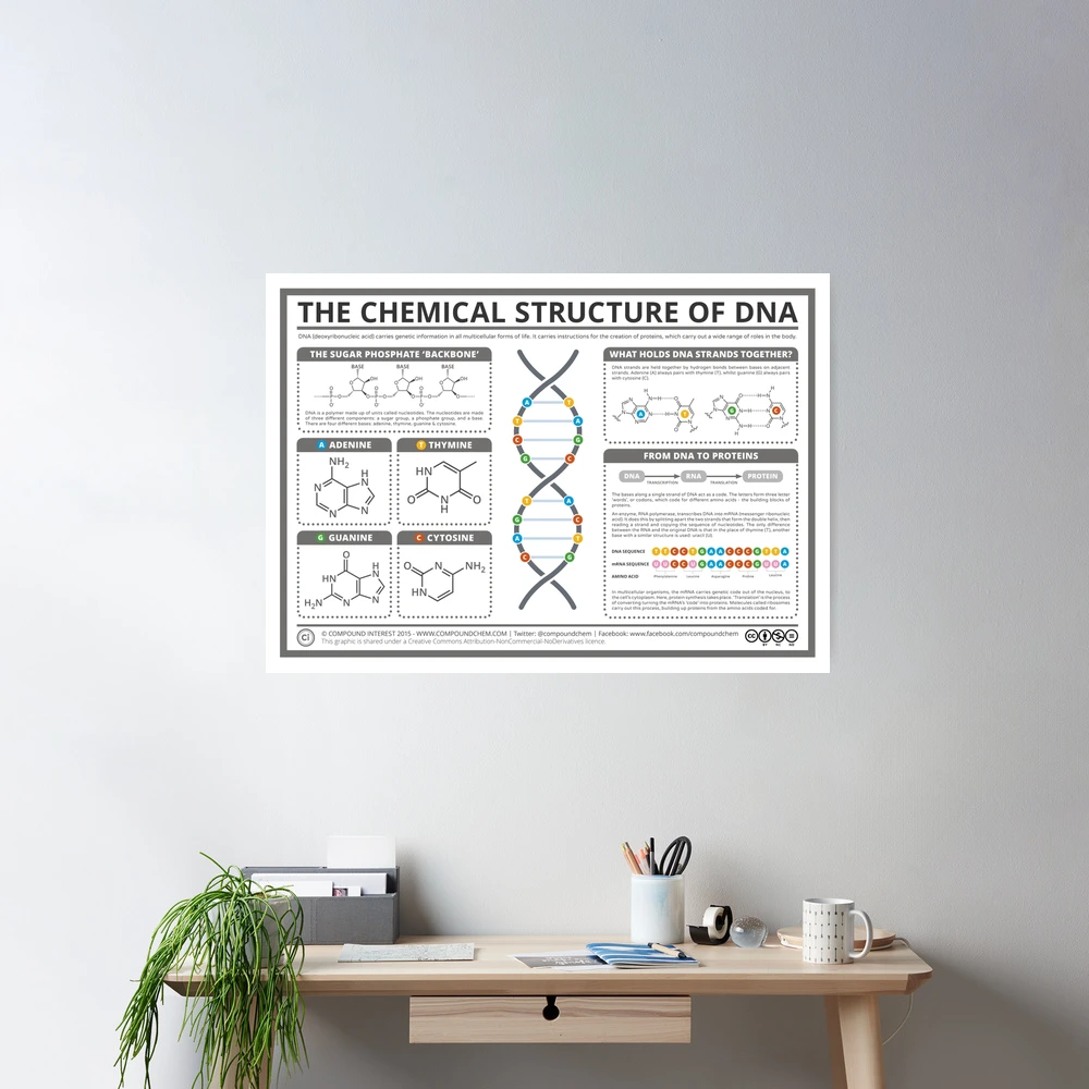 The Chemical Structure Of Dna Compound Interest D. Nucleic Acids: DNA