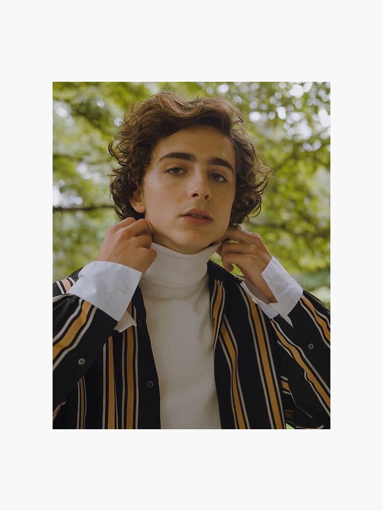 "Timothee Photoshoot" Sticker by amaniham | Redbubble