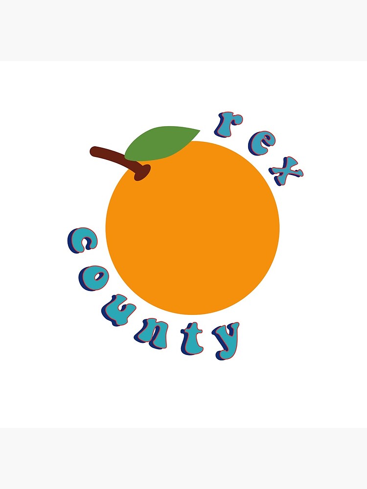 "Rex Orange County " Poster for Sale by Jessicanaa | Redbubble