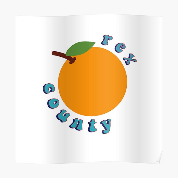 "Rex Orange County " Poster for Sale by Jessicanaa | Redbubble