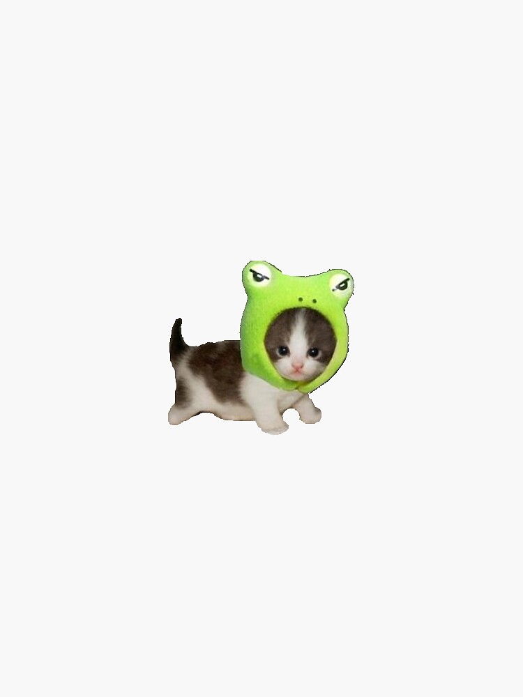 "baby cat with frog hat " Sticker for Sale by krystalboo | Redbubble