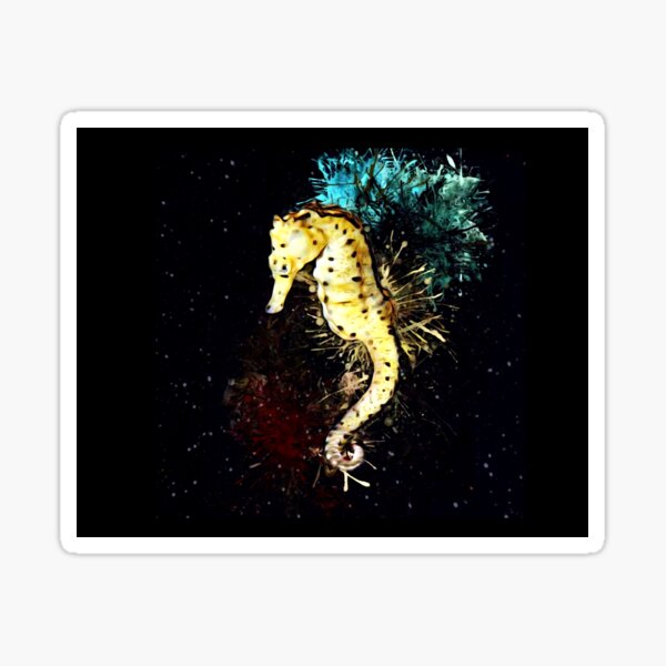 "A Barbour Seahorse " Sticker for Sale by Digital-designs | Redbubble