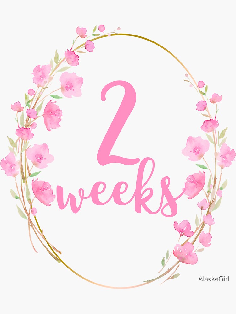 "2 Week Newborn Photo Prop - Watercolor Flower Baby Girl Milestone ...