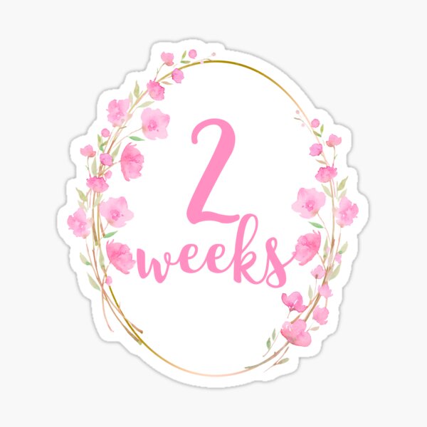 "2 Week Newborn Photo Prop - Watercolor Flower Baby Girl Milestone ...
