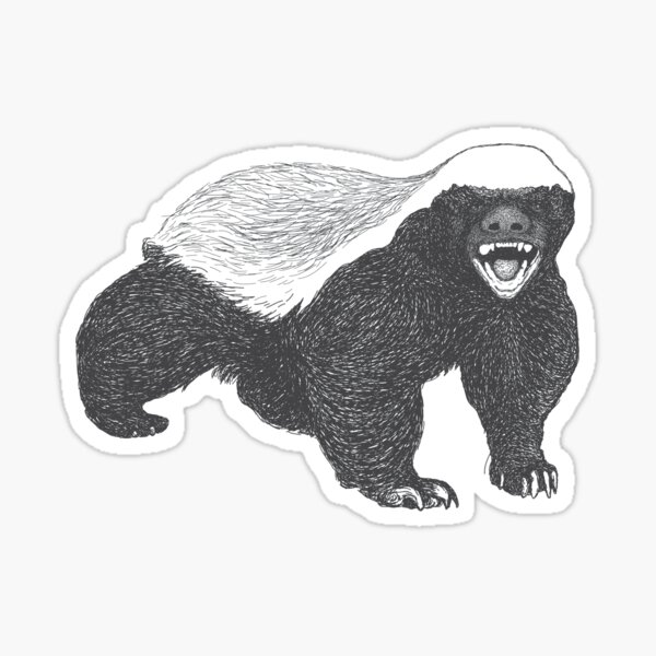 Honey Badger Stickers | Redbubble