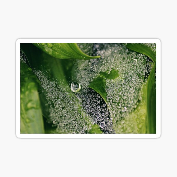 "Condensation" Sticker by kaylee229 | Redbubble