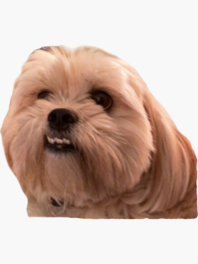 "Bleb Vol. 1" Sticker for Sale by Raddison | Redbubble