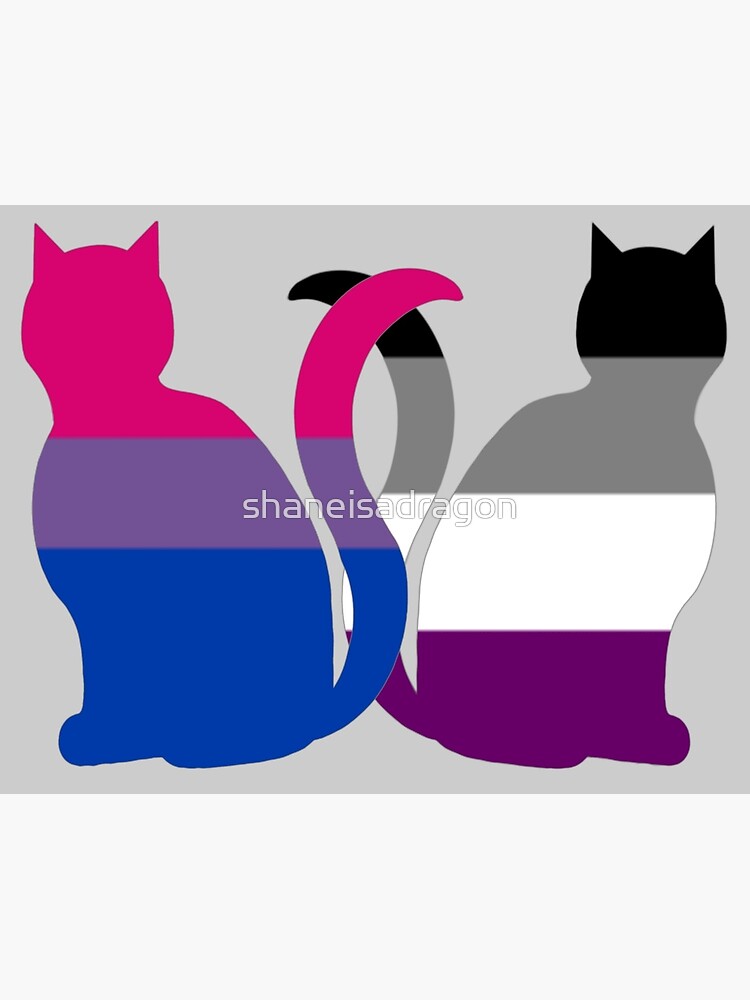 "Bi Ace Pride Cats" Art Print by shaneisadragon | Redbubble