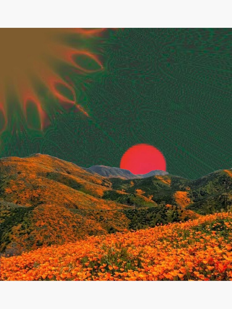 "sunset" Sticker for Sale by crazylazygirl | Redbubble