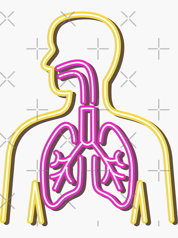 Respiratory System Logo