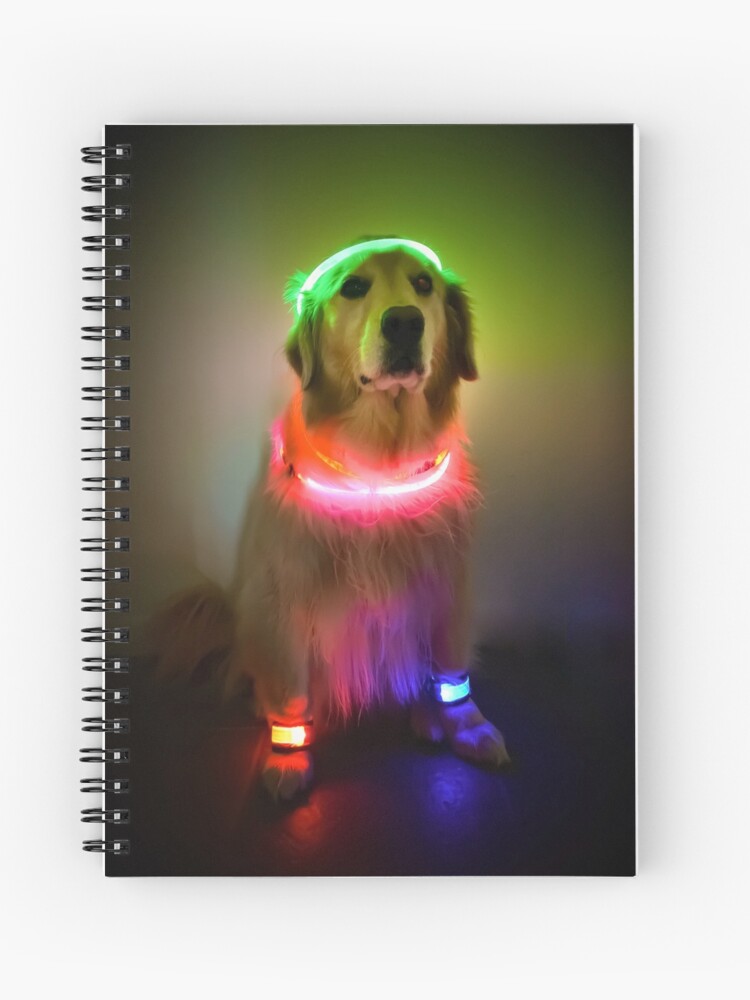 "Rave Vink" Journal for Sale by thegoldenratio4 | Redbubble