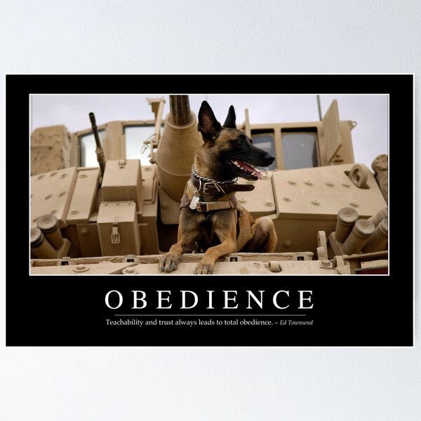 "STK107150M-Obedience: Inspirational Quote and Motivational Poster ...