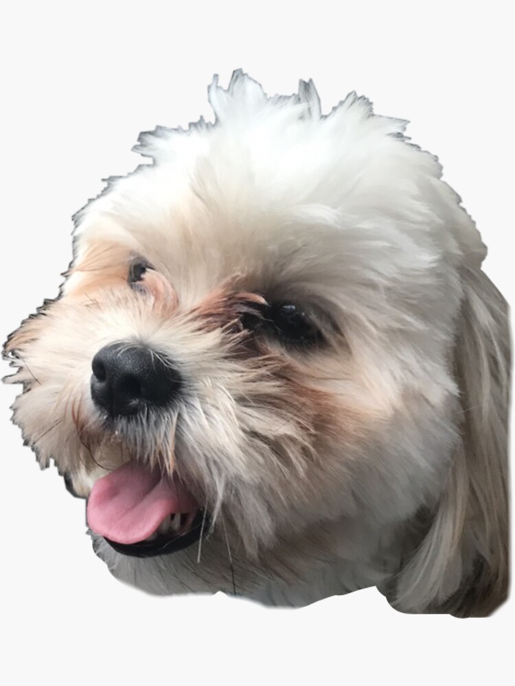 "Bleb Vol. 13" Sticker by Raddison | Redbubble