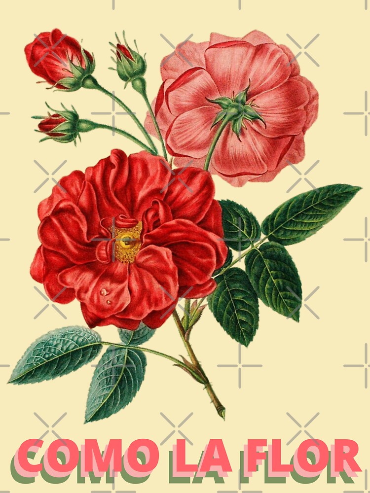 "COMO LA FLOR" Sticker by la-rosalia | Redbubble