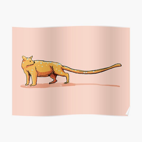 "Madagascar Fossa" Poster for Sale by Victoria-Hay | Redbubble