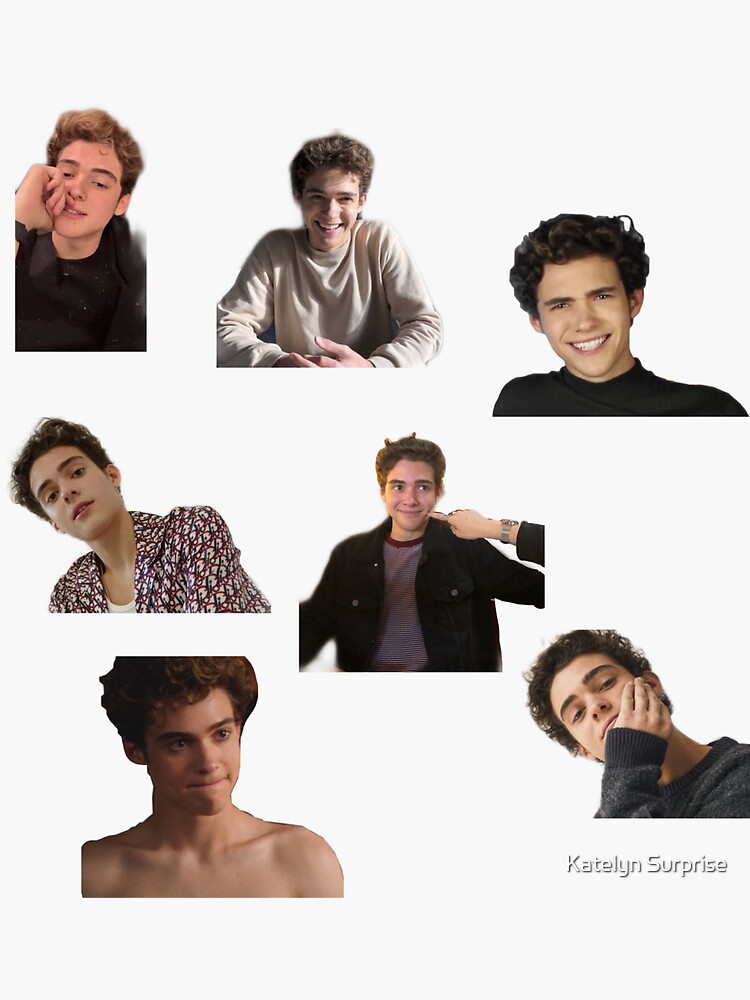 "Joshua Basset Sticker Pack" Sticker for Sale by Yellowdaisi | Redbubble