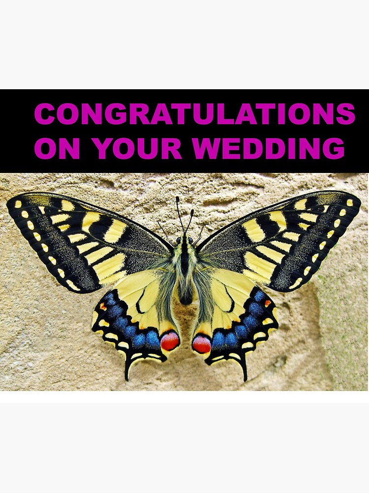 "Cute Butterfly Congratulations on Wedding " Poster for Sale by ...