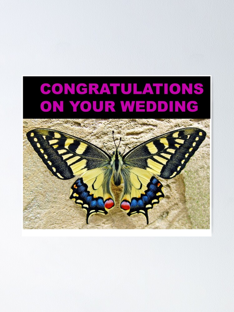 "Cute Butterfly Congratulations on Wedding " Poster for Sale by ...