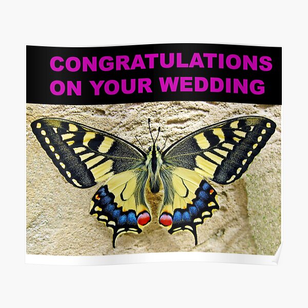 "Cute Butterfly Congratulations on Wedding " Poster for Sale by ...