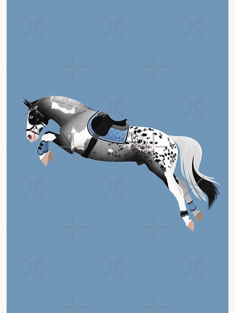 Blue Roan Horse Jumping