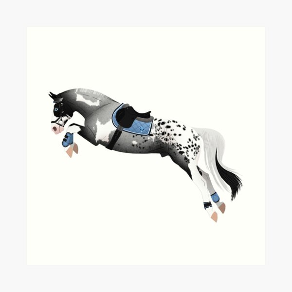 Blue Roan Horse Jumping