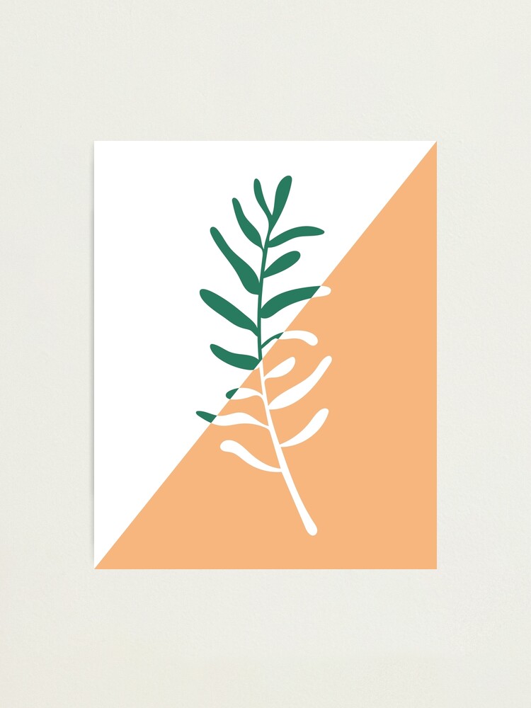 "Modern minimal style olive tree branch illustration " Photographic ...
