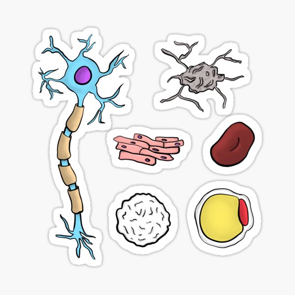 "Many Different Cells" Sticker by pbportfolio | Redbubble
