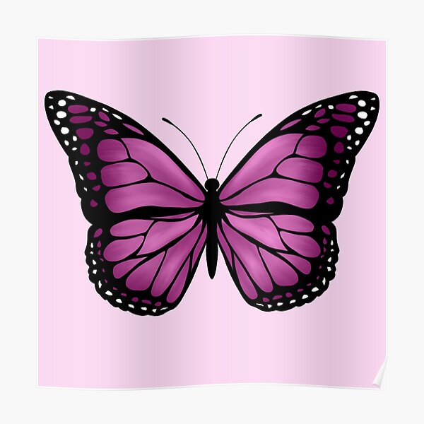 "Pink Butterfly" Poster for Sale by Nico0699 | Redbubble