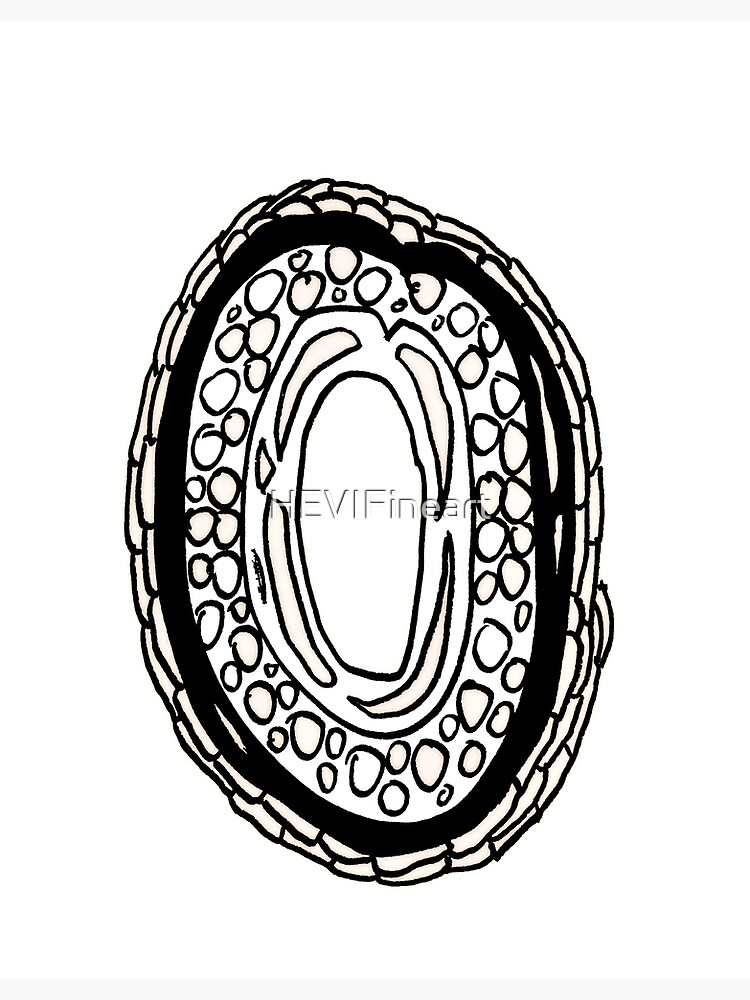 Lámina fotográfica «Alfabeto en blanco y negro en mayúscula Letra O» de ...