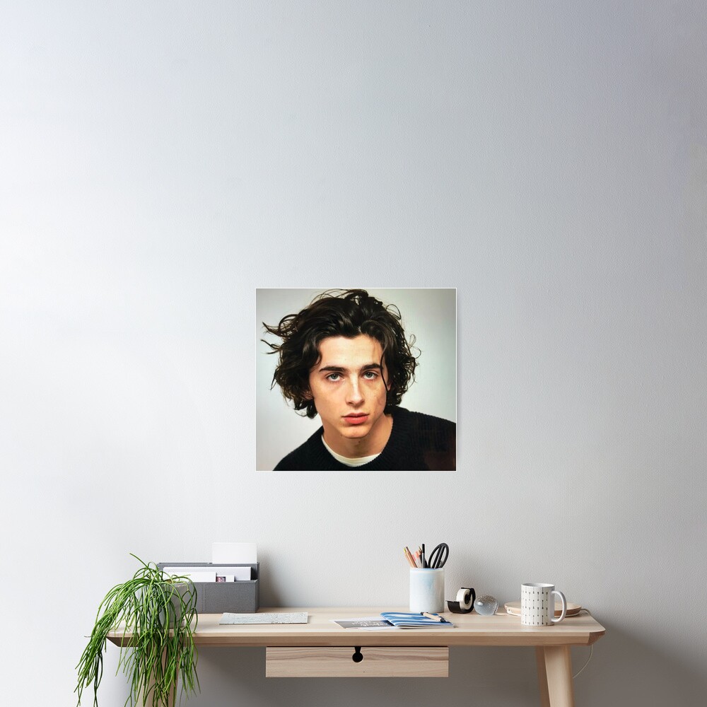 "Timothee chalamet " Poster for Sale by hala- | Redbubble