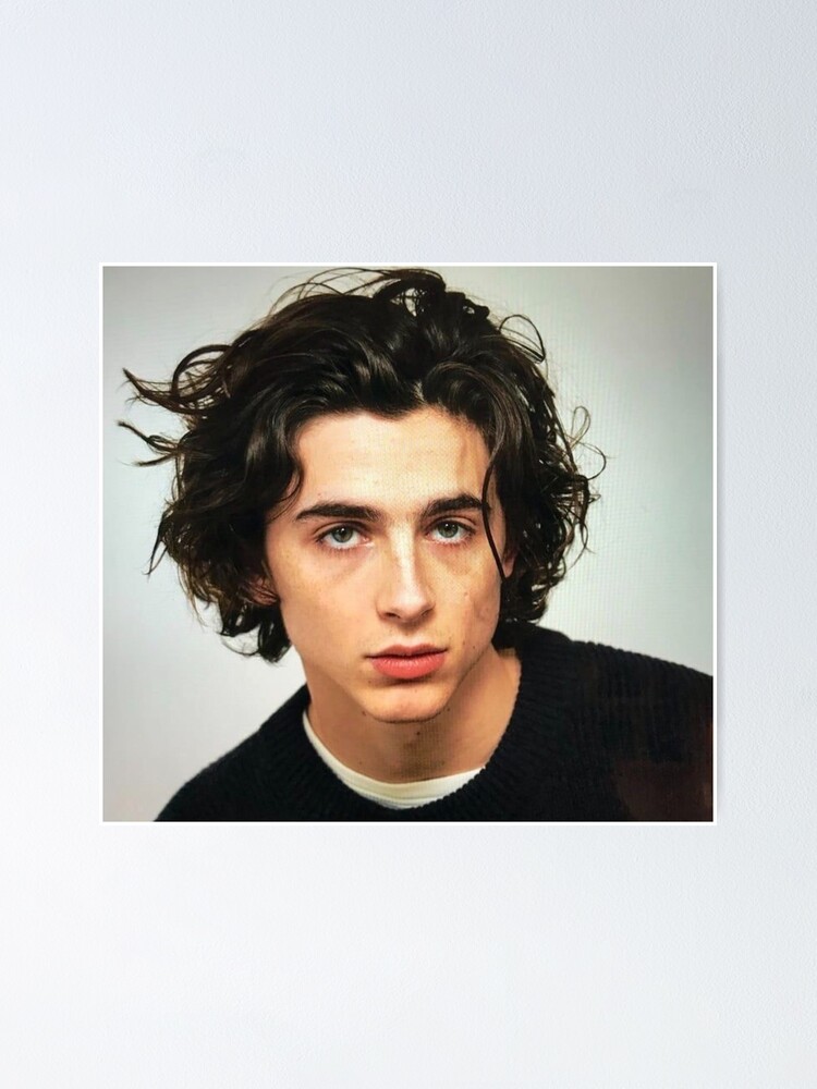 "Timothee chalamet " Poster for Sale by hala- | Redbubble