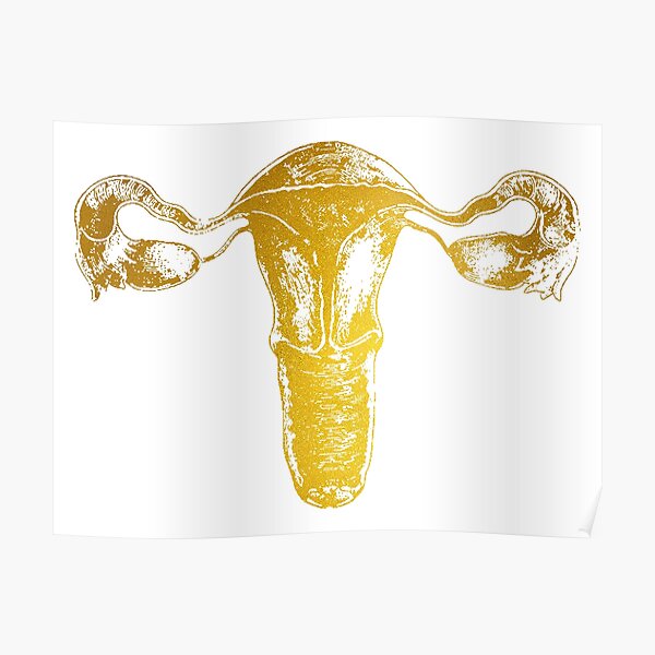 " Female Reproductive System" Poster for Sale by erzebetth | Redbubble