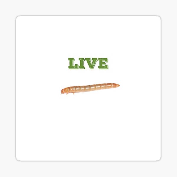 "Worm" Sticker for Sale by DanGreene0 | Redbubble