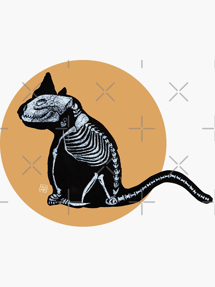"Cat X-ray - Dusty Orange" Sticker for Sale by Annepennypacker | Redbubble