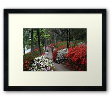 "Middleton Place Plantation - Colorful array of Azaleas" by photosan ...