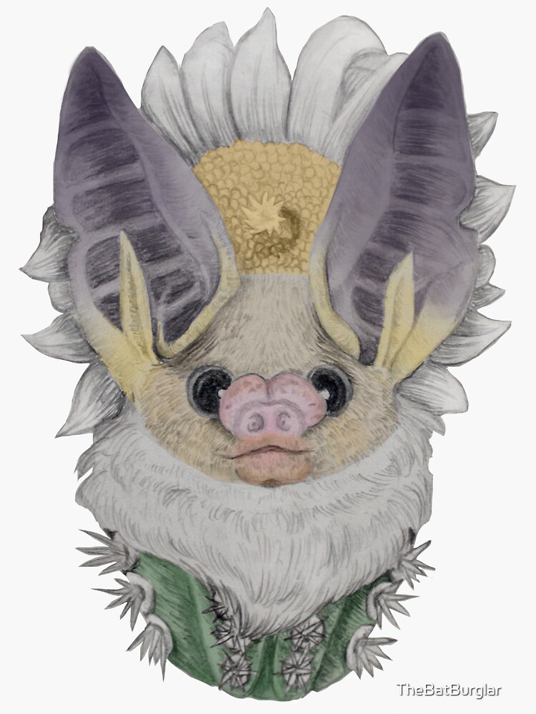 "Pallid Bat " Sticker for Sale by TheBatBurglar | Redbubble