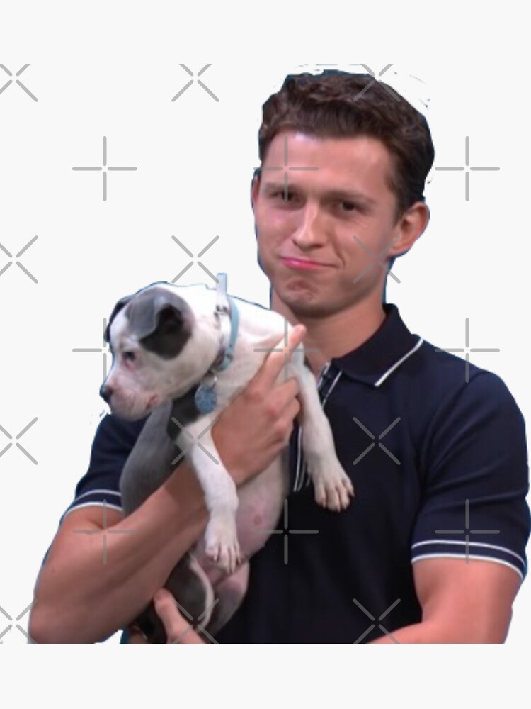 "Tom holland" Sticker for Sale by hala- | Redbubble