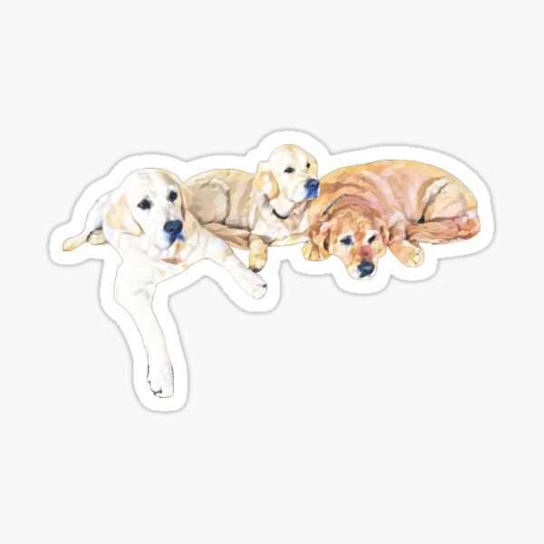 "A Man's Best Friend" Sticker by mteguis | Redbubble
