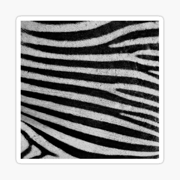 "Zebra" Sticker for Sale by ElenaIndolfi | Redbubble