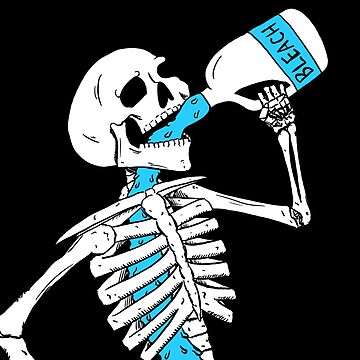 "Skeleton Bleach" Poster for Sale by notbrandoon | Redbubble