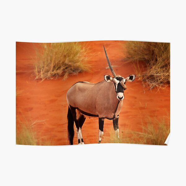 "Oryx or Unicorn?" Poster for Sale by owedtonature | Redbubble