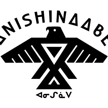 "Anishinaabe" Poster for Sale by zuen | Redbubble