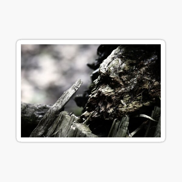 "25.4.2020: Dead Tree" Sticker for Sale by Wolfheart | Redbubble