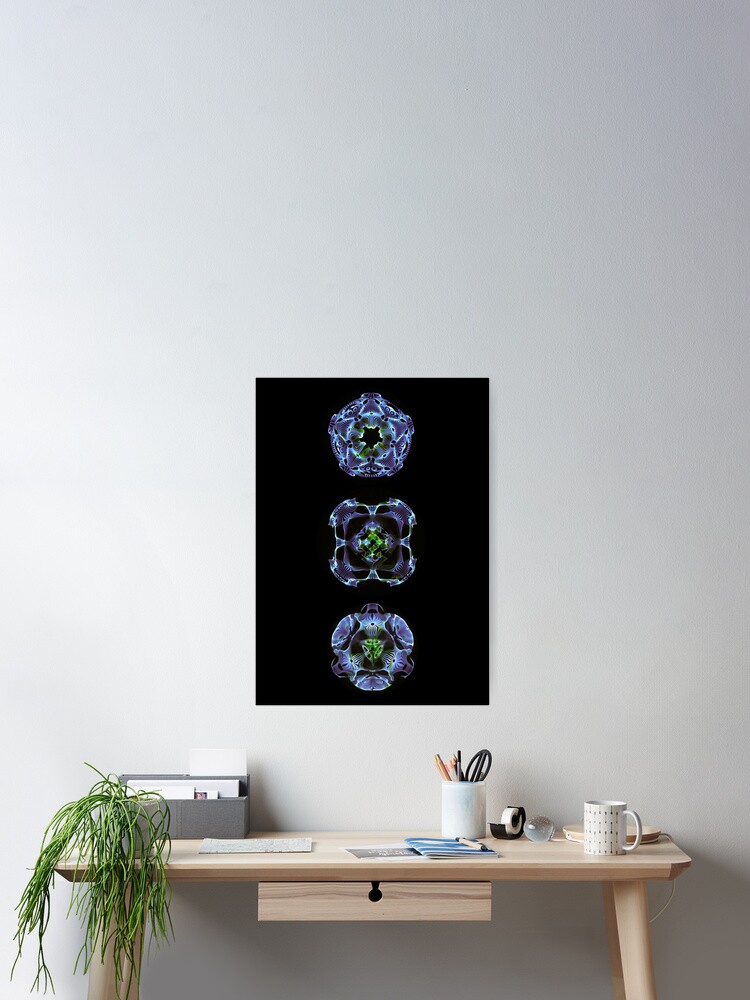 "Study Of Cymatics" Poster for Sale by le5gualkee | Redbubble