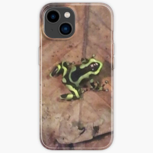 "Lil Froggy" iPhone Case for Sale by RebelShadow | Redbubble