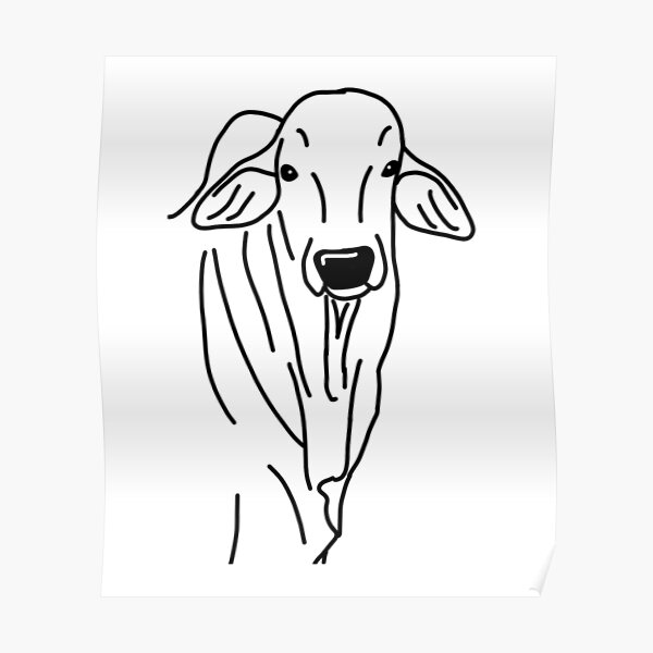 Pósters: Brahman | Redbubble