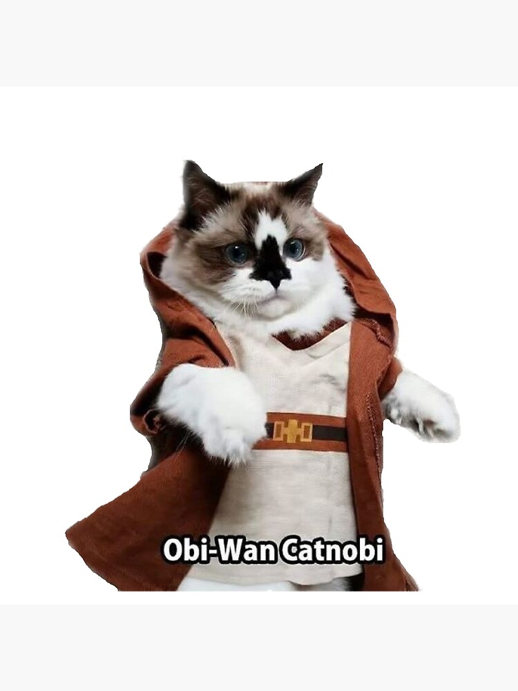 Obi-Wan Catnobi Canvas sold by Donna Jones | SKU 40930890 | 50% OFF ...